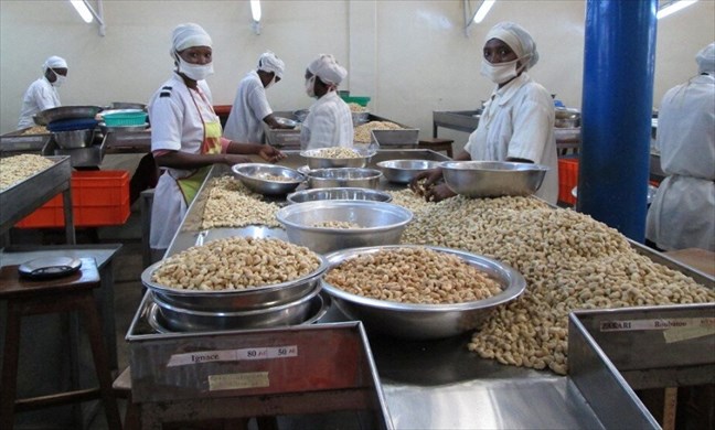 Bénin : La BOAD alloue 10 milliards FCFA pour la transformation de la ...