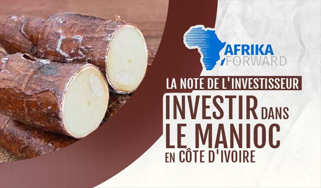 Investir en Côte d’Ivoire : La transformation du manioc