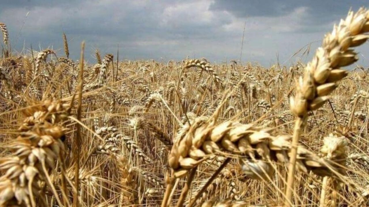 Le Burkina Faso enregistre une hausse record de 37% de sa production ...