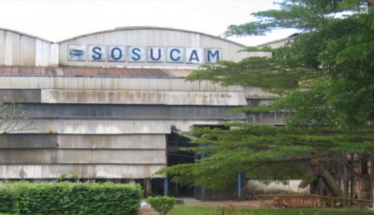 Cameroun : Des pertes de 22 milliards FCFA pour Sosucam en 2024