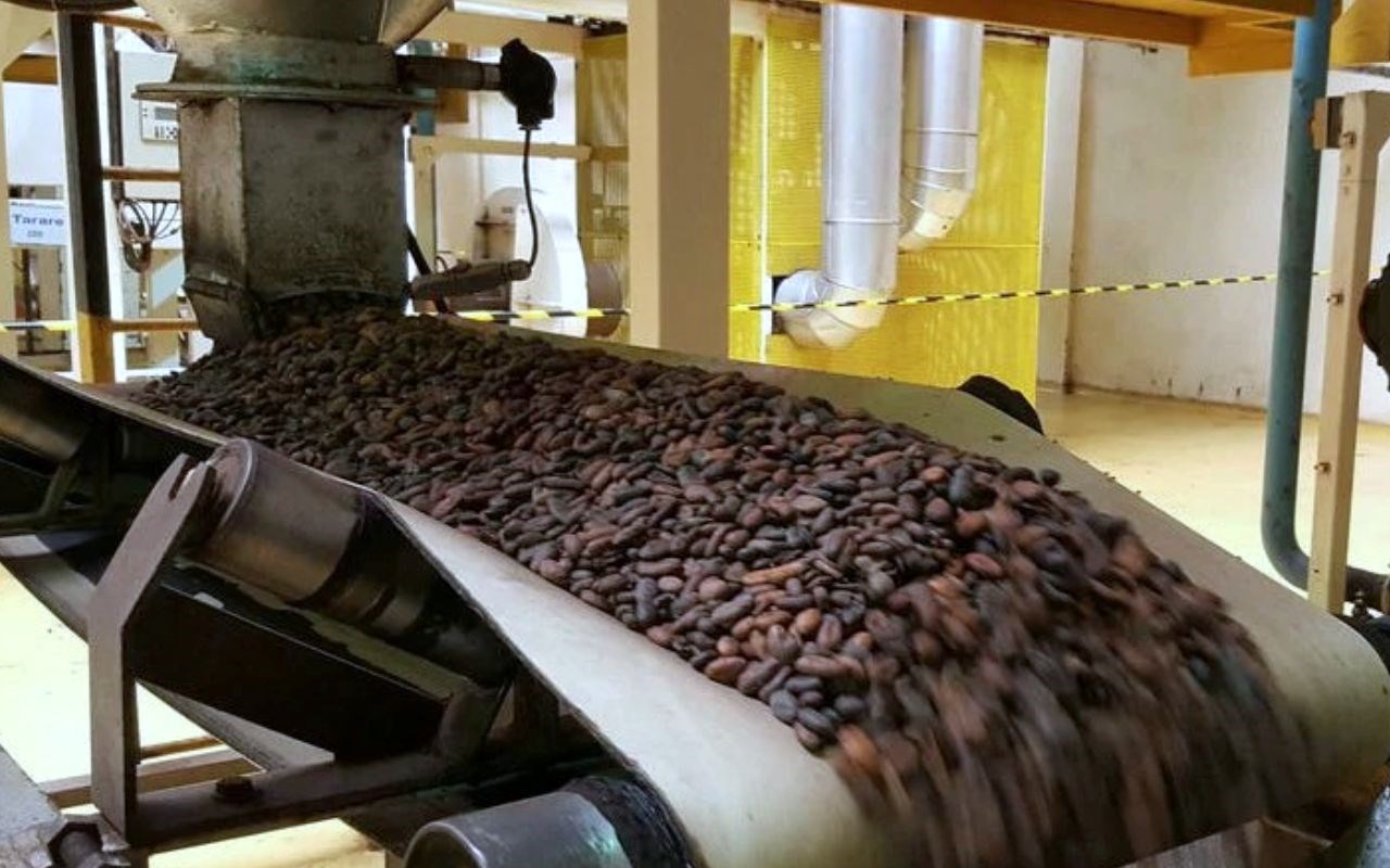 Cameroun : Tiger Brands cède 74,69 % de Chococam à Minkama Capital et ...